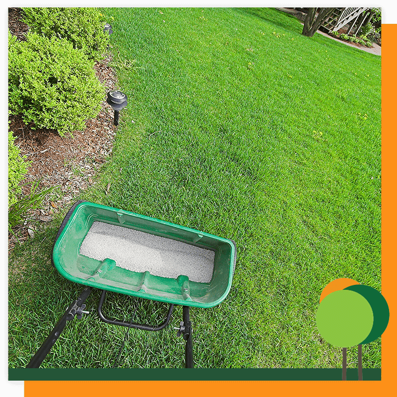Guide To Fertilizing A Lawn