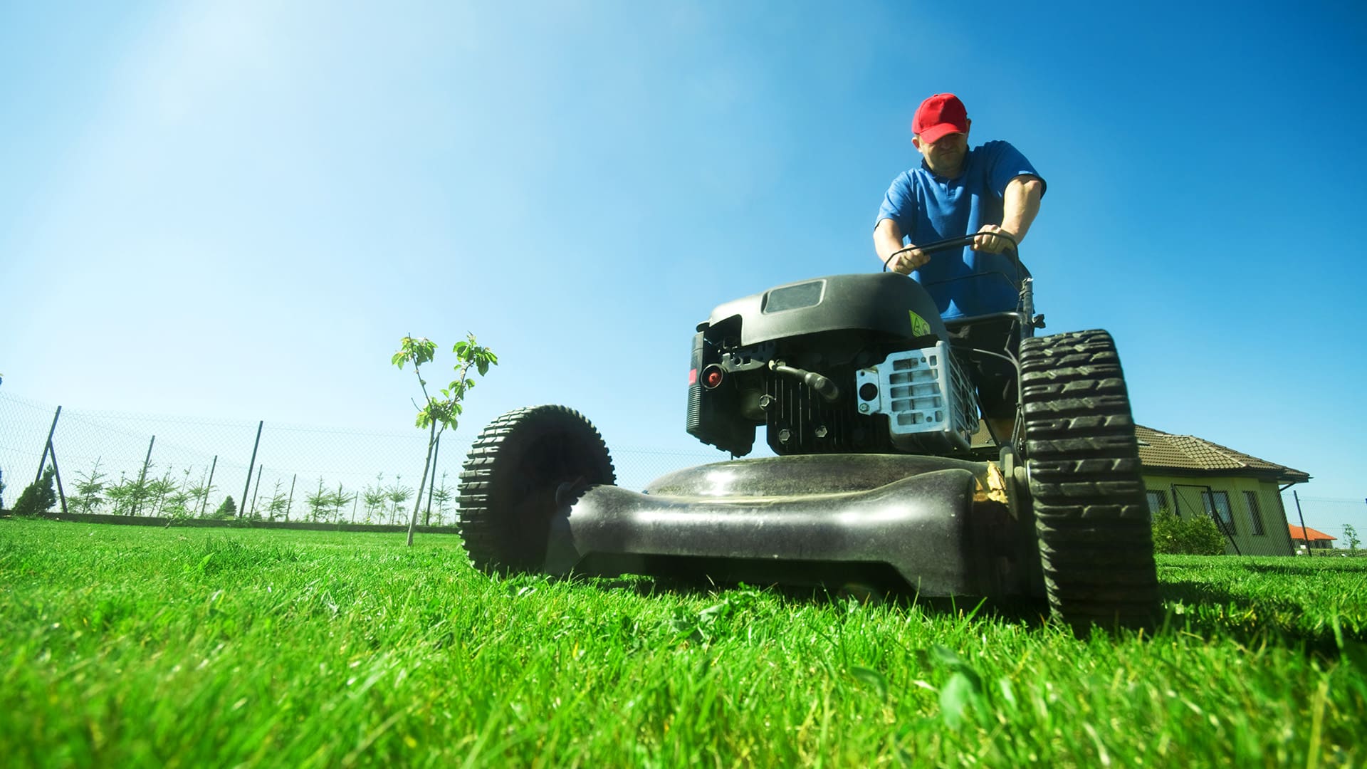 Guide To Customizing A Lawn Care Treatment Plan For Your Needs