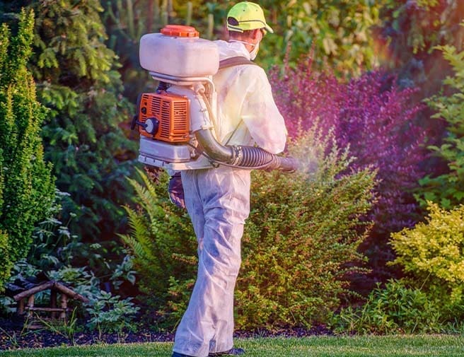 Take Back Your Outdoor Space with Tick and Mosquito Control in North ...